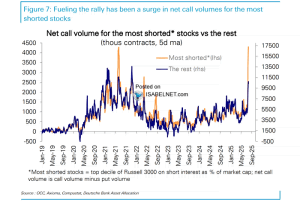 Net Call Volume for the Most Shorted Stocks vs the Rest – ISABELNET